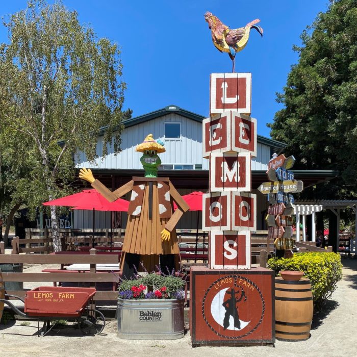 Lemos Farm in Half Moon Bay Pumpkin Patch and More - 510 Families