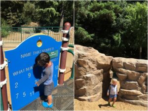 Roberts Regional Recreation Area: An Oakland Park with a Swimming Pool ...