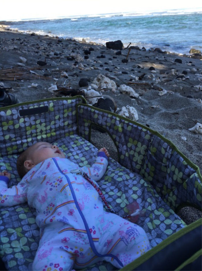 Perfect Bay Area roadtrips with a baby - 510 Families