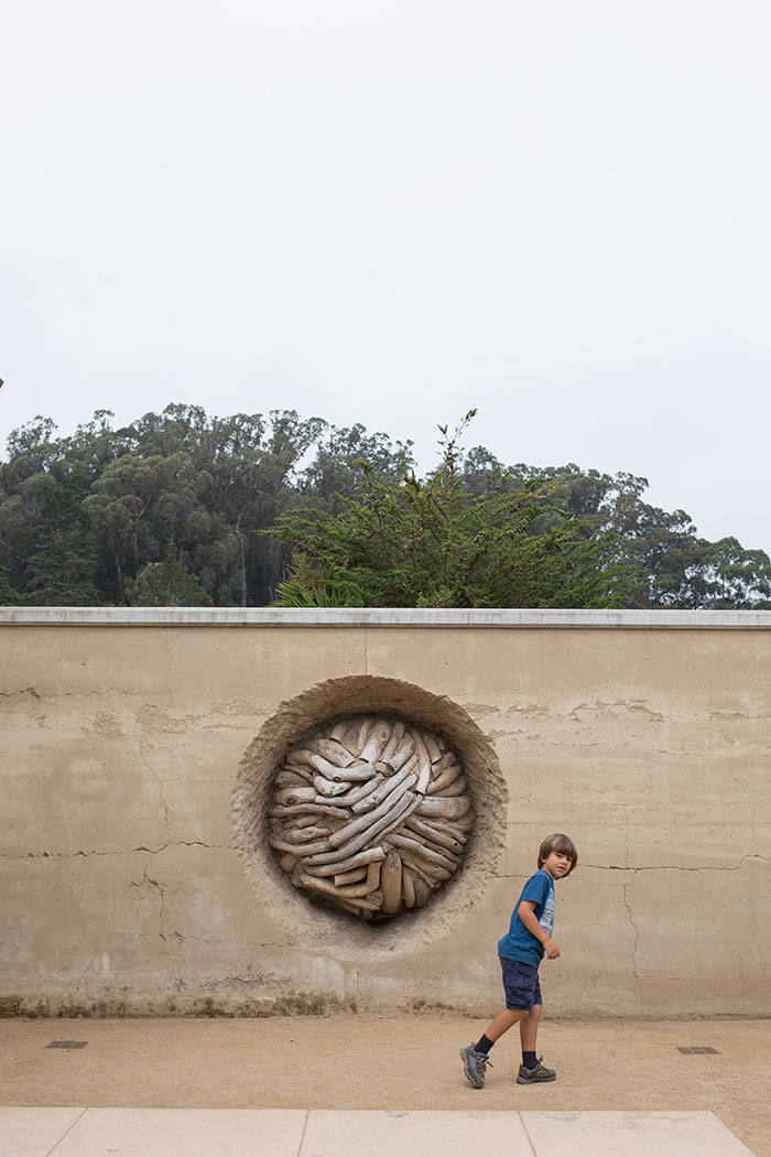 Art with Kids: Andy Goldsworthy Nature Installations in San Francisco's ...