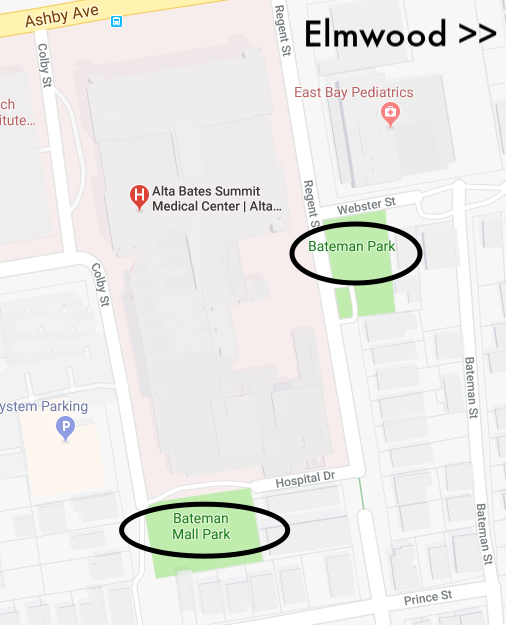 What to Do With Kids in the Elmwood (Berkeley) - 510 Families