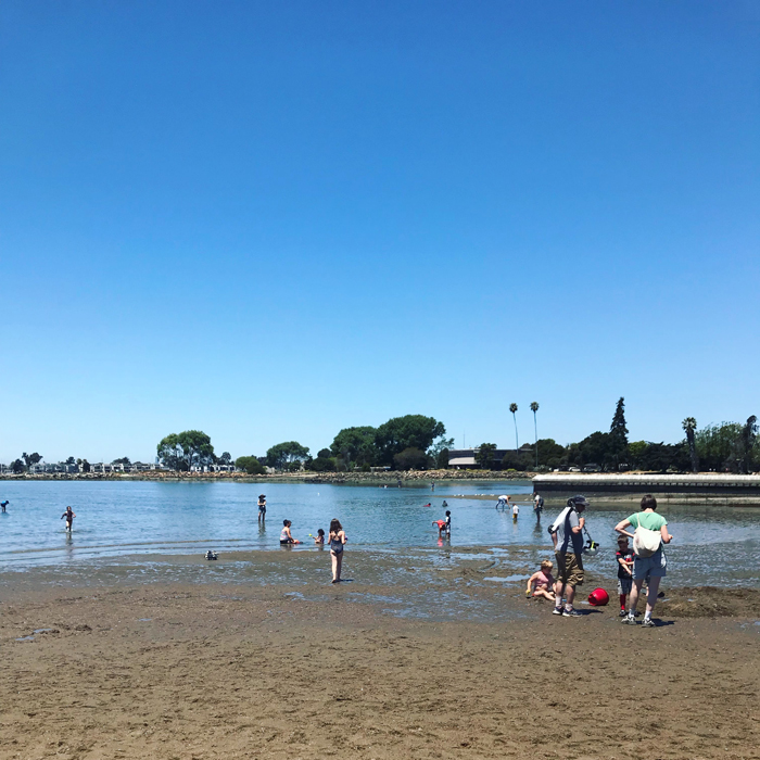 Crown Beach in Alameda Is Perfect For Kids - 510 Families