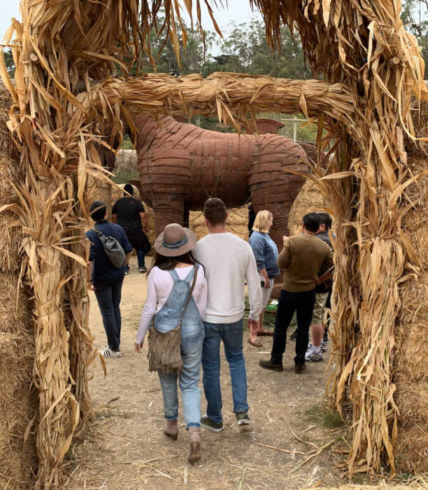Arata's Pumpkin Farm & Hay Maze in Half Moon Bay - 510 Families