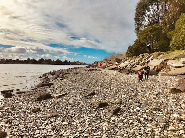 Unusual TEPCO Beach in Richmond is Full of Riches - 510 Families