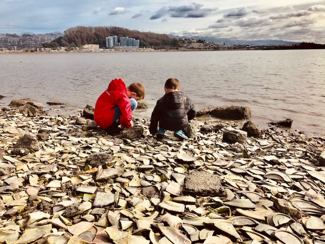 Unusual TEPCO Beach in Richmond is Full of Riches - 510 Families