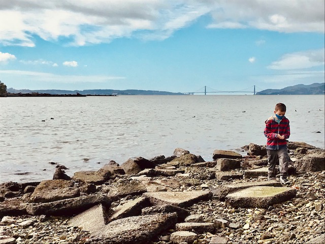 Unusual TEPCO Beach in Richmond is Full of Riches - 510 Families