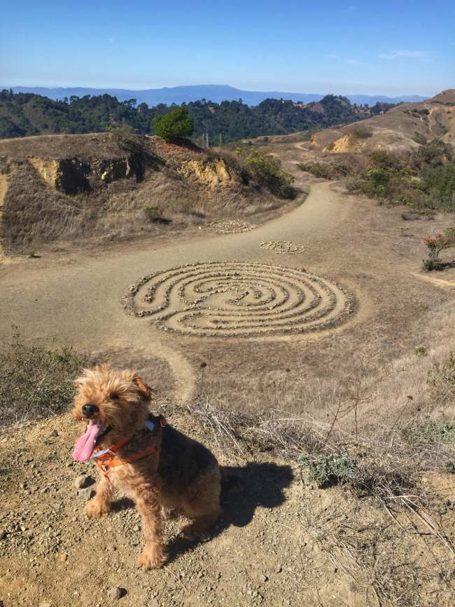Impress Your Kids: Hike into a Real Volcano & Labyrinth in Oakland ...