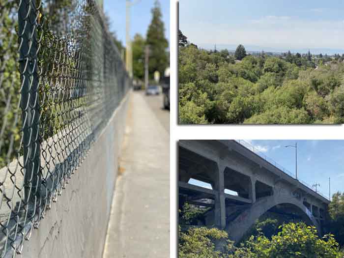 Things to Do with Kids in Oakland’s Park Blvd. Glenview District - 510 ...