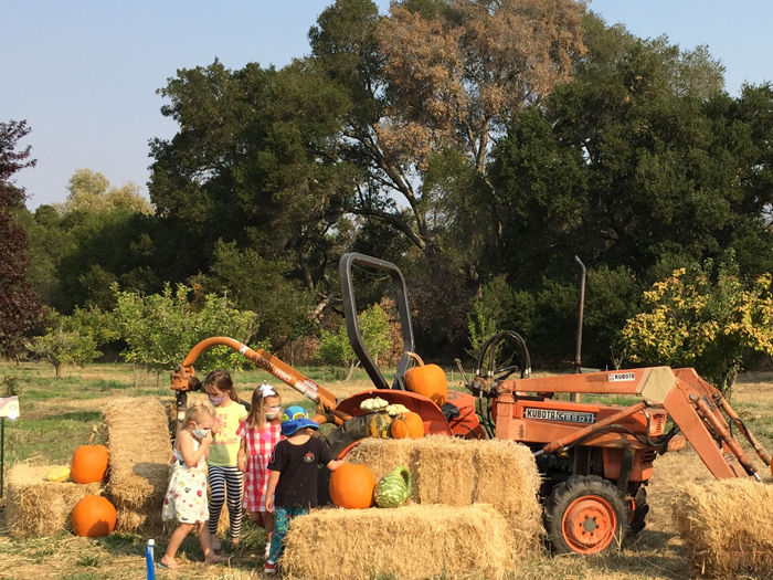 Filoli Historic House & Garden - 510 Families