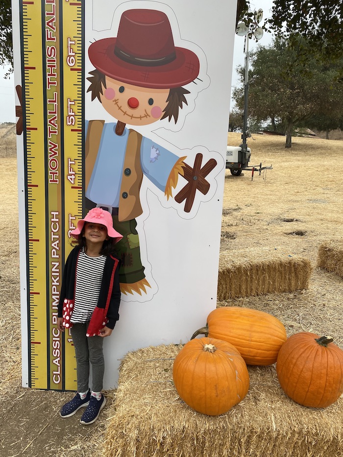 Classic Pumpkin Patch at Rowell Ranch in Castro Valley - 510 Families