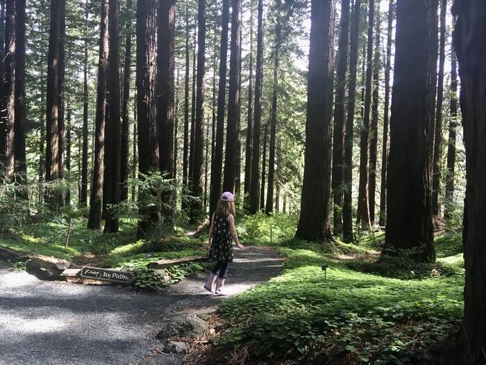 Hike With Kids Through UC Botanical Garden at Berkeley - 510 Families