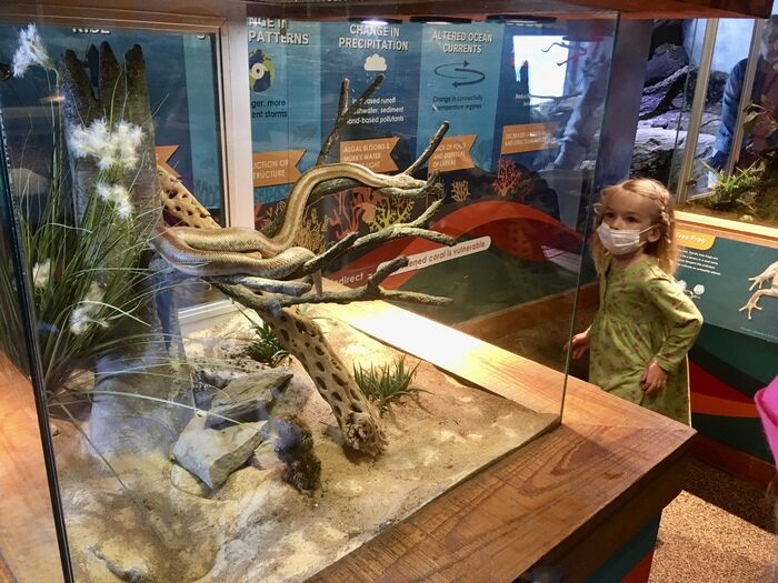 Play Tourist at San Francisco's Aquarium of the Bay & Pier 39 - 510 ...