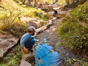 Codornices Park in the Berkeley Hills - 510 Families