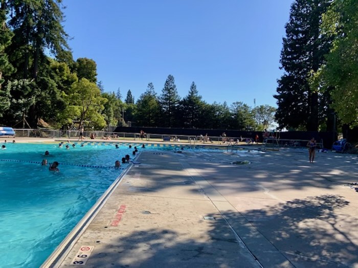 Swim at Strawberry Canyon Pool in the Berkeley Hills - 510 Families